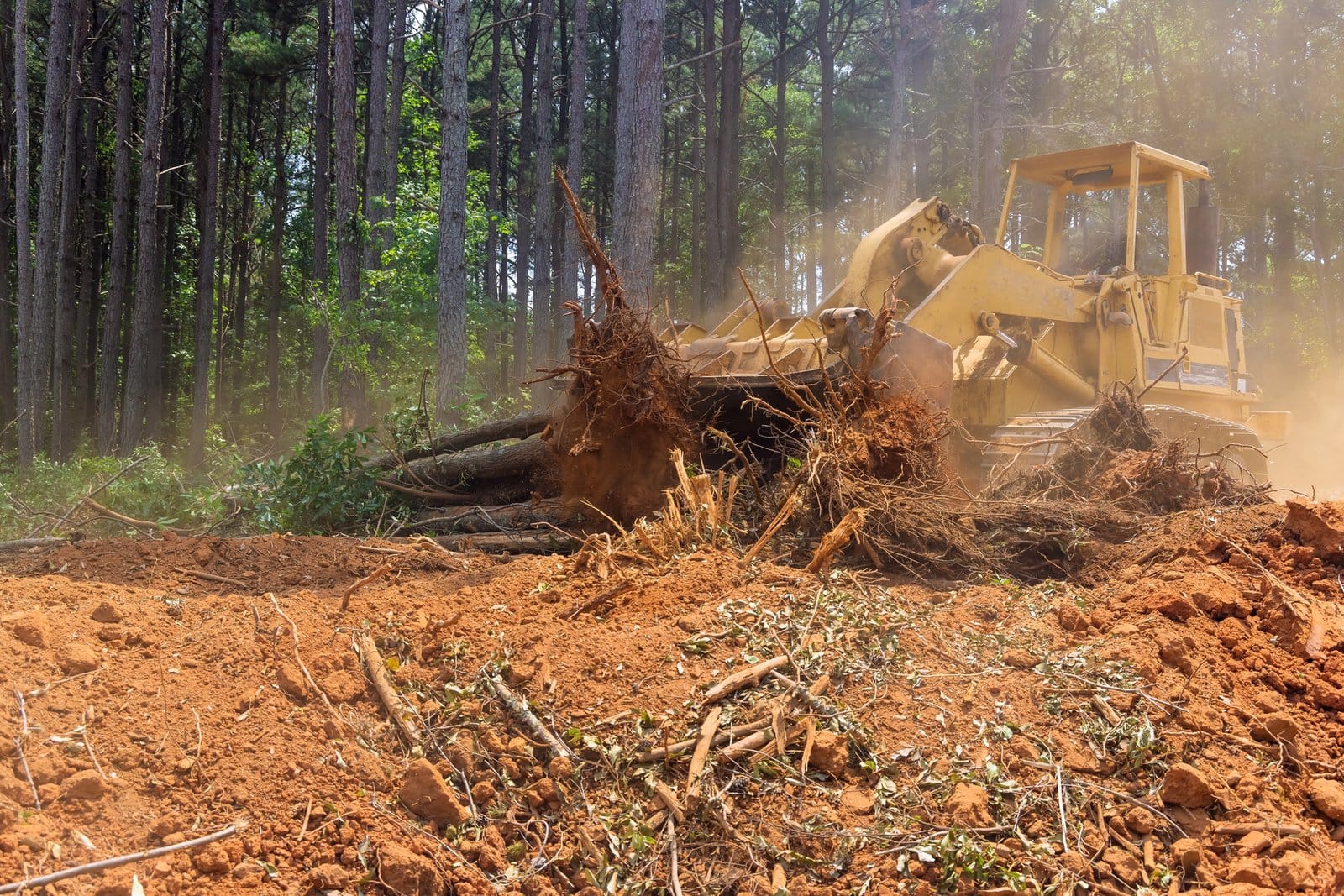 Total Land Clearing Services | Mcguire Tree Service and Land Clearing