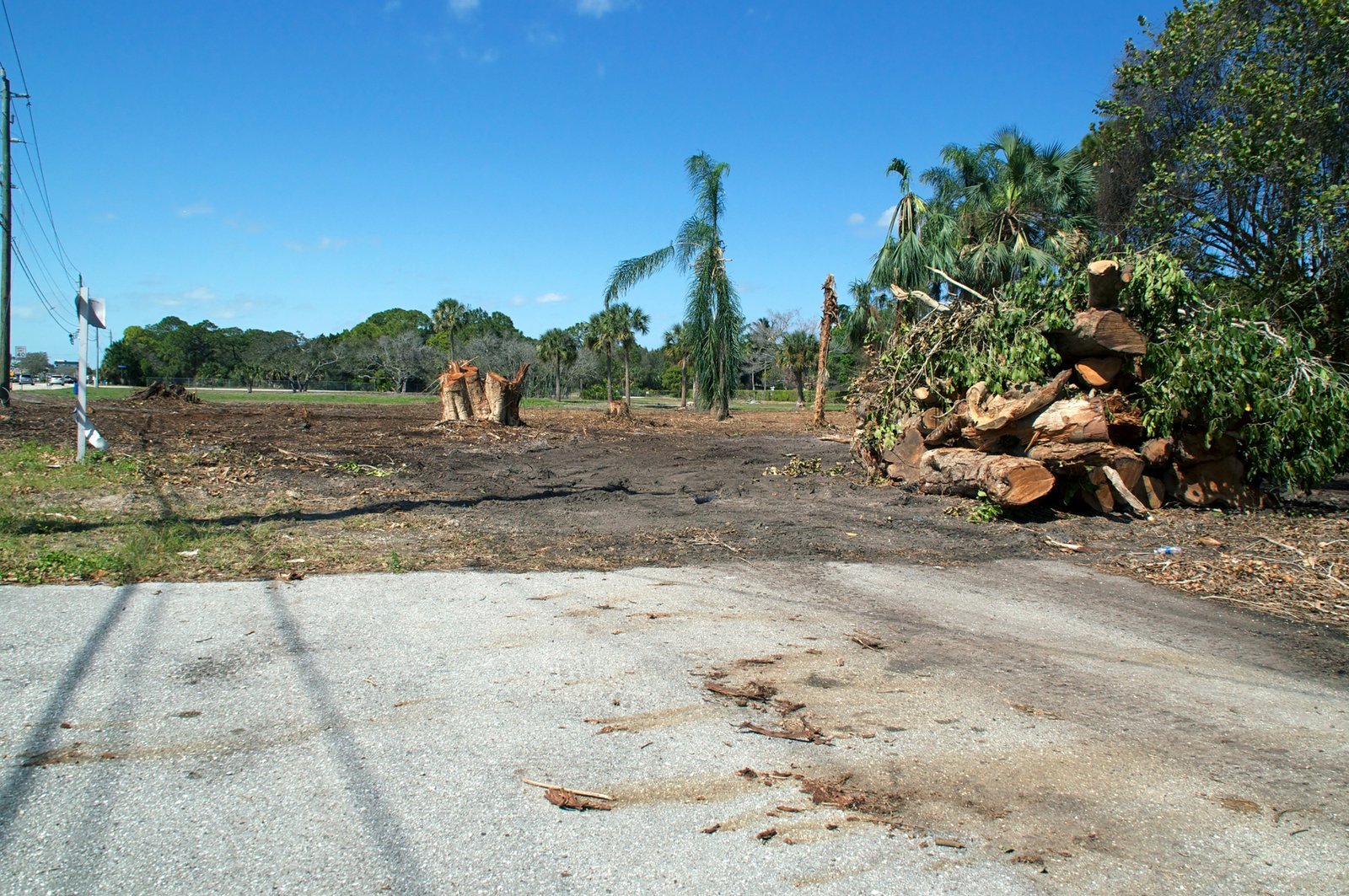 Professional Lot Clearing | Mcguire Tree Service and Land Clearing